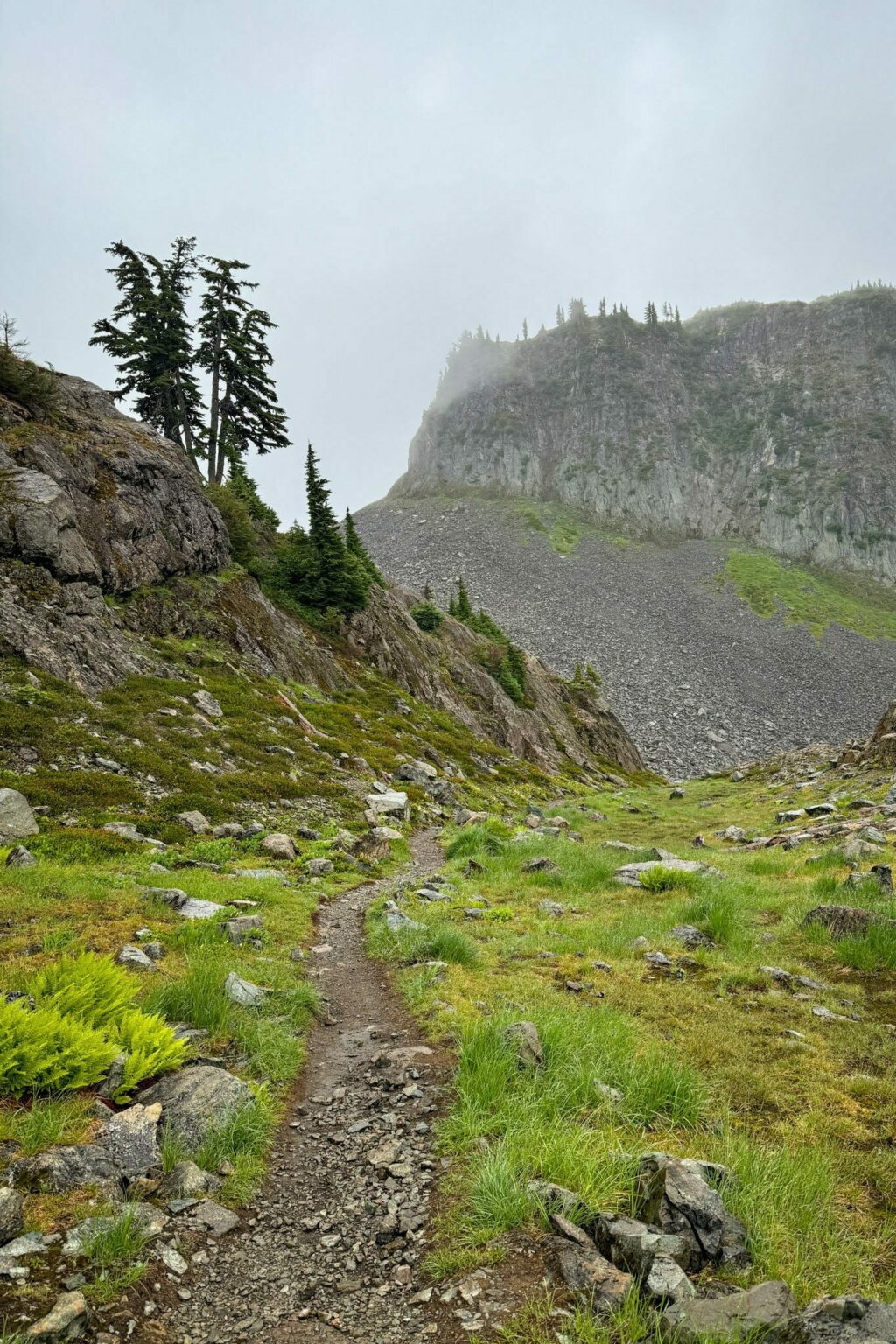 Hiking The Chain Lakes Loop At Mt. Baker: A Complete Guide