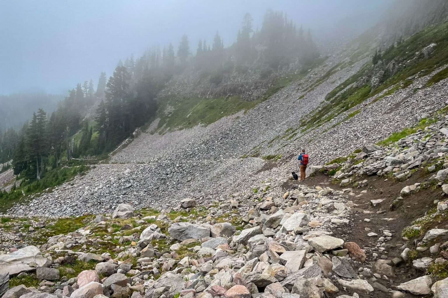 Hiking The Chain Lakes Loop At Mt. Baker: A Complete Guide