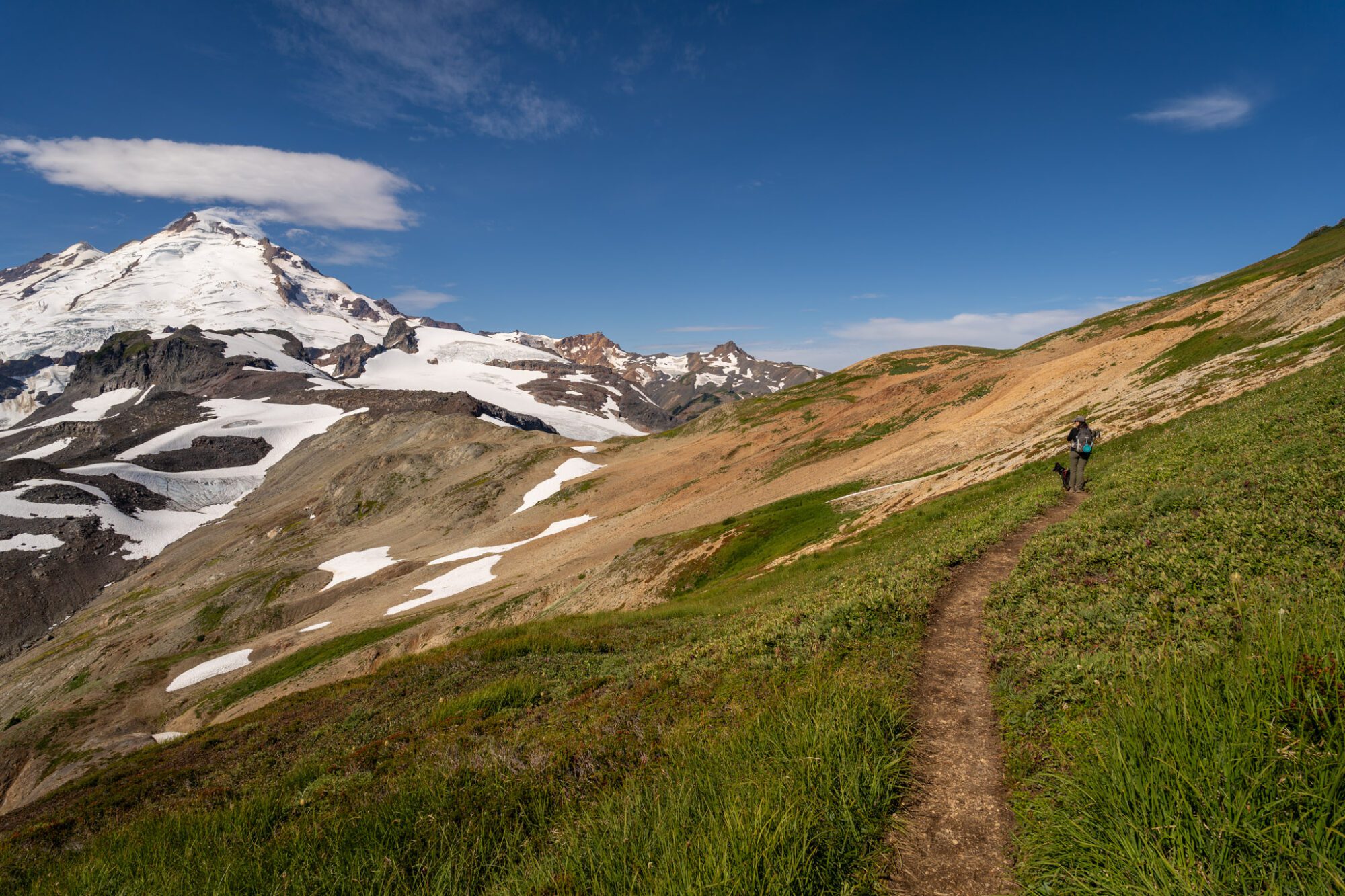 The Ptarmigan Ridge Trail At Mt. Baker: A Complete Guide