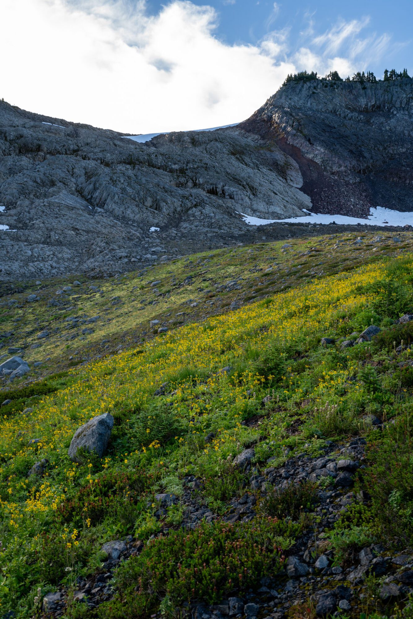 The Ptarmigan Ridge Trail At Mt. Baker: A Complete Guide