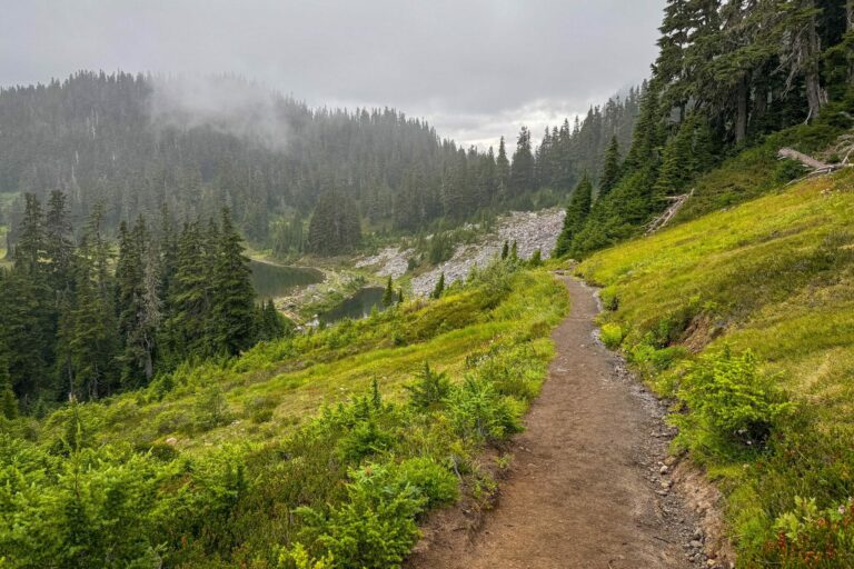 Hiking The Chain Lakes Loop At Mt. Baker: A Complete Guide