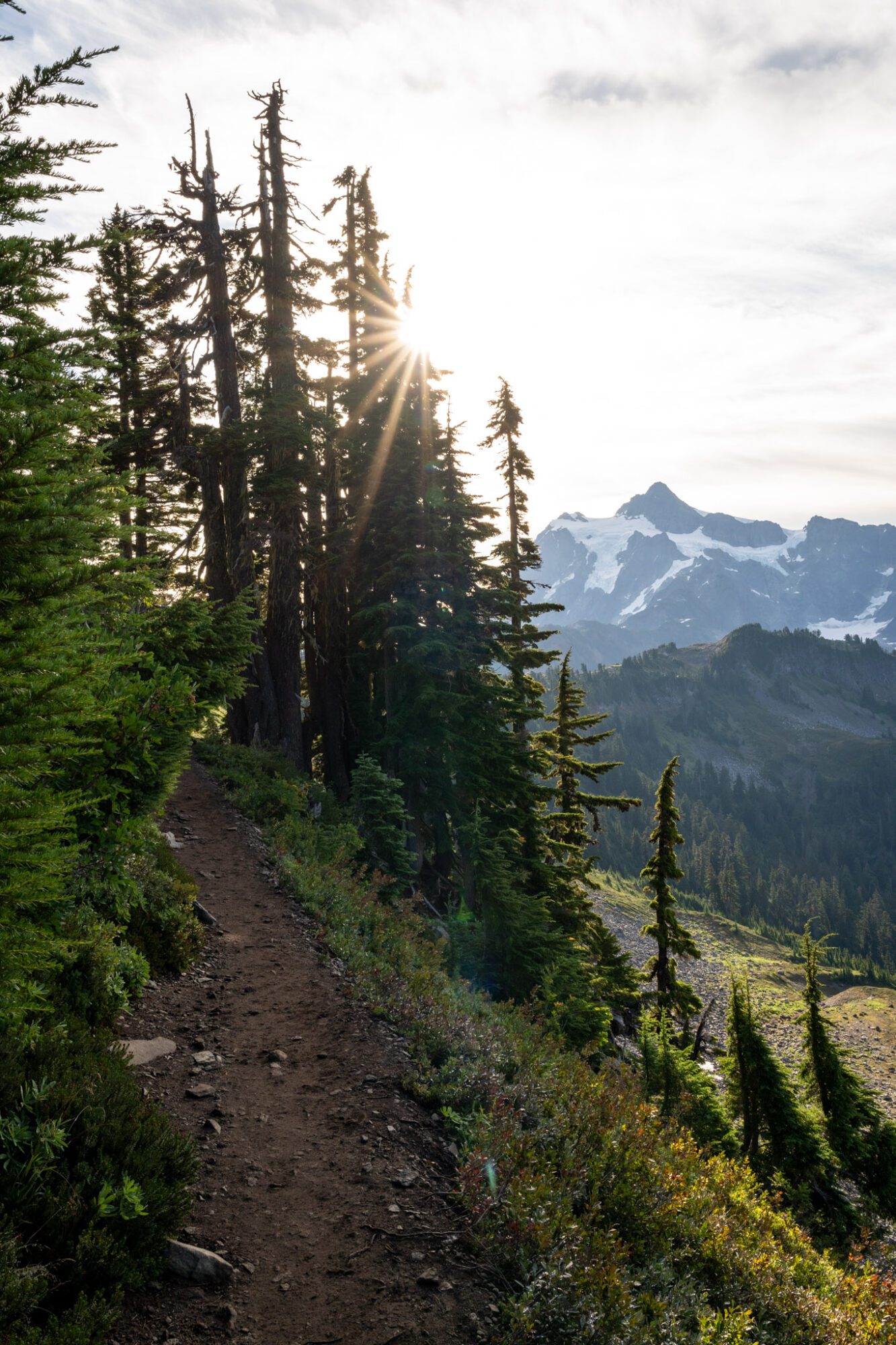 The Ptarmigan Ridge Trail At Mt. Baker: A Complete Guide