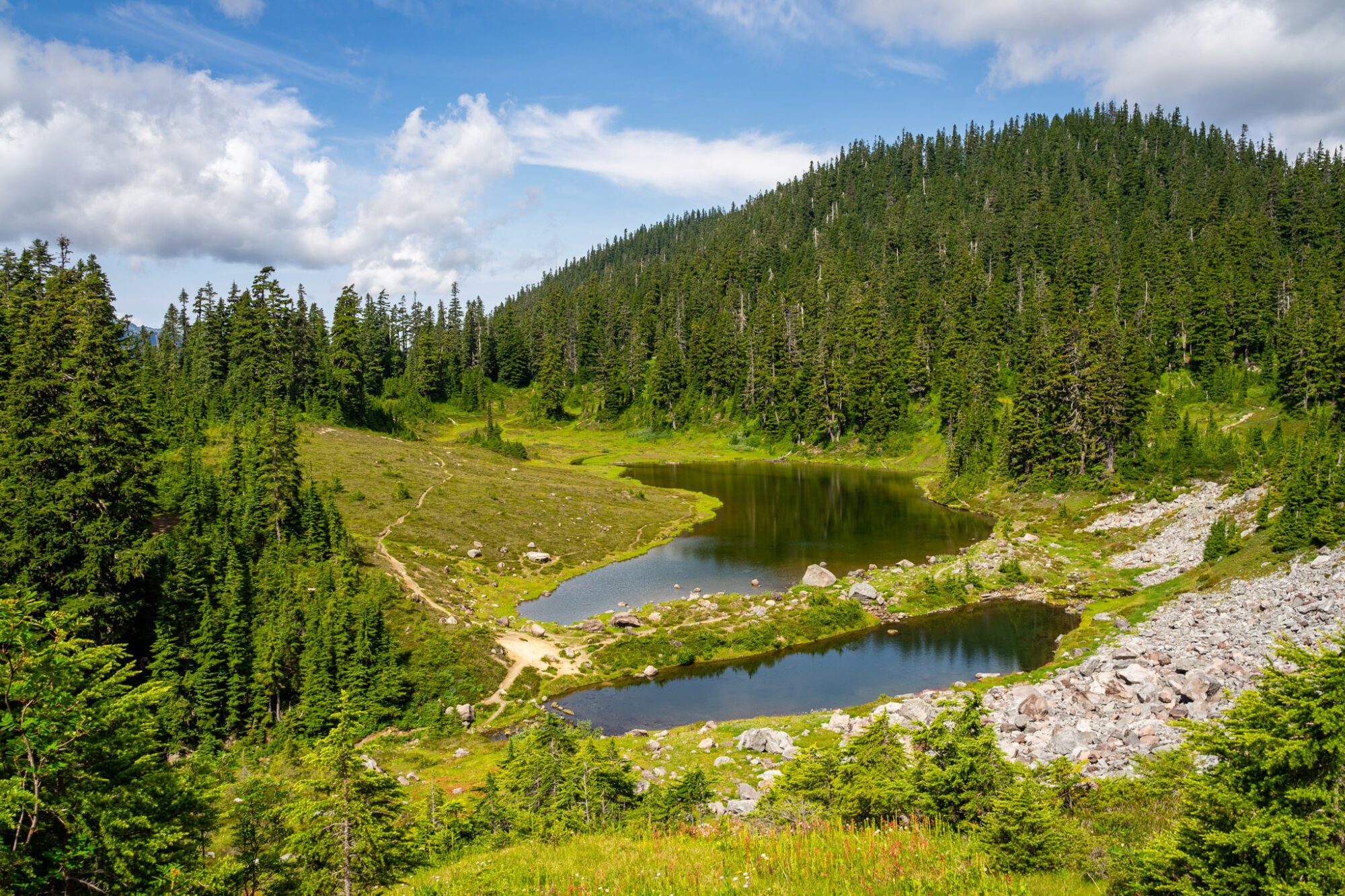 Hiking The Chain Lakes Loop At Mt. Baker: A Complete Guide
