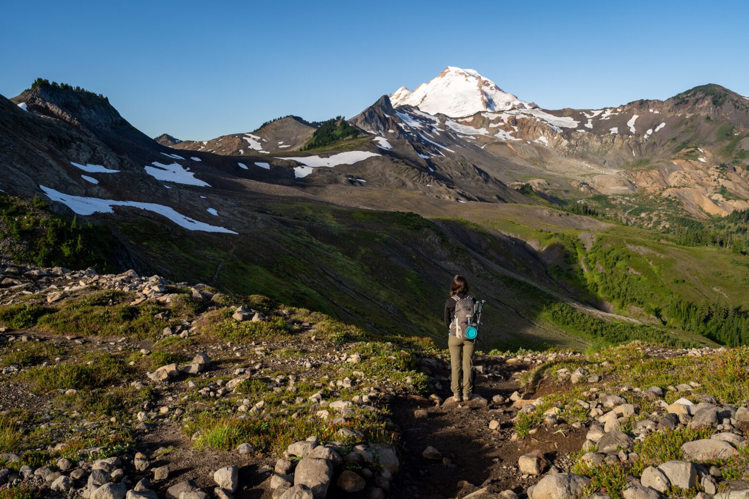 The Ptarmigan Ridge Trail At Mt. Baker: A Complete Guide