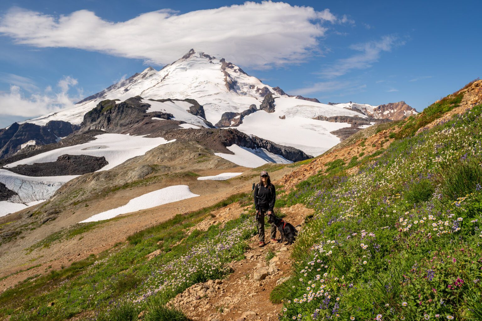 The Ptarmigan Ridge Trail At Mt. Baker: A Complete Guide