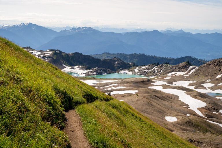 The Ptarmigan Ridge Trail At Mt. Baker: A Complete Guide