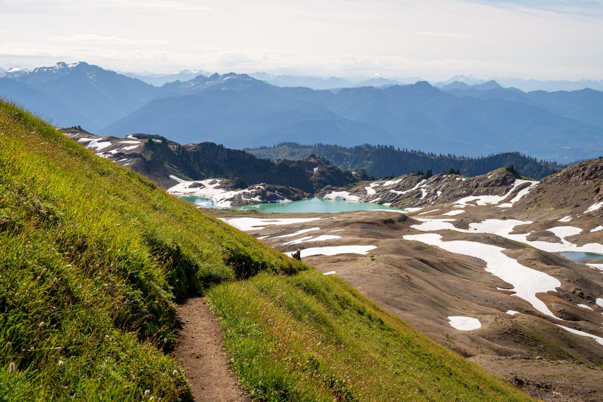 The Ptarmigan Ridge Trail At Mt. Baker: A Complete Guide