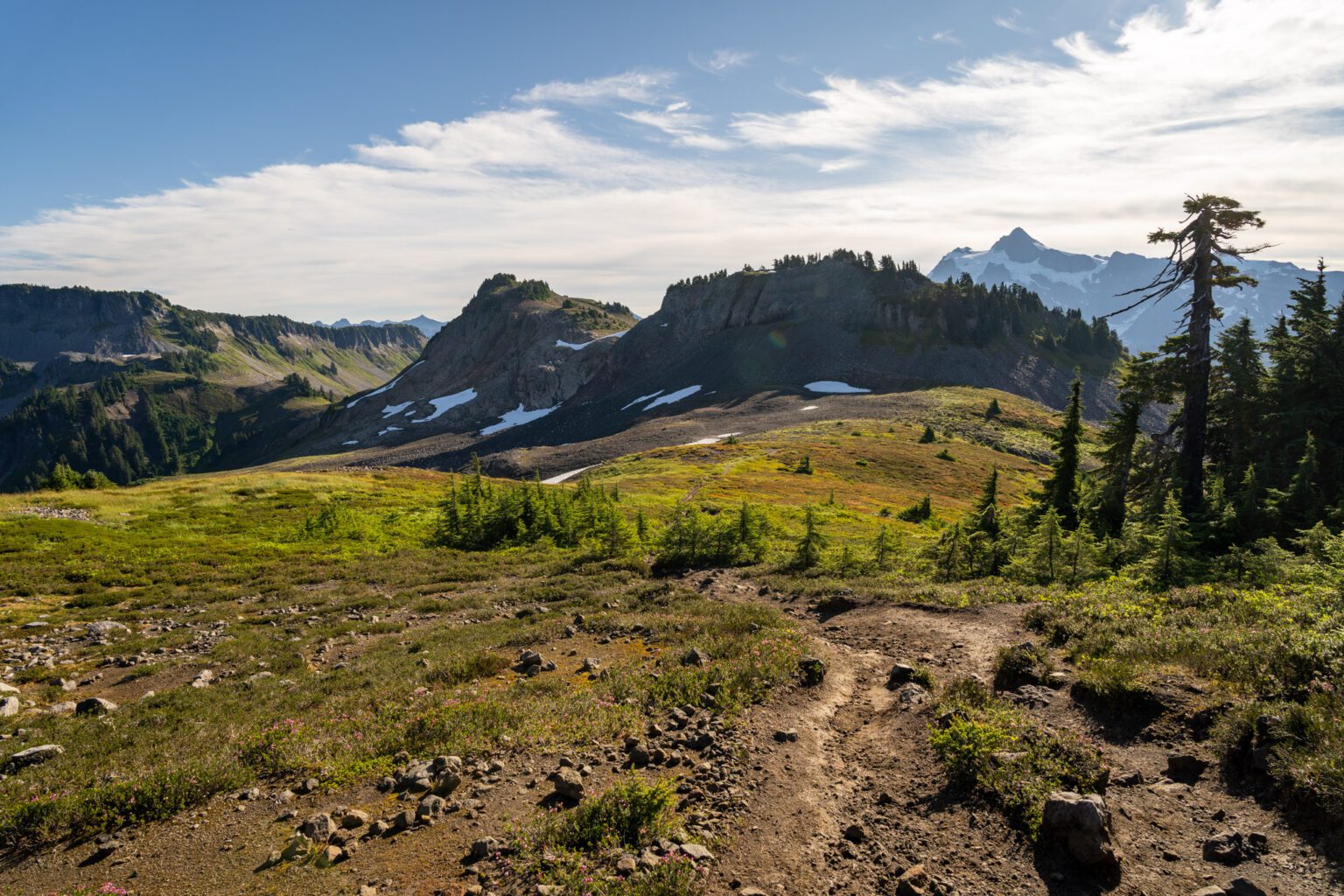 The Ptarmigan Ridge Trail At Mt. Baker: A Complete Guide