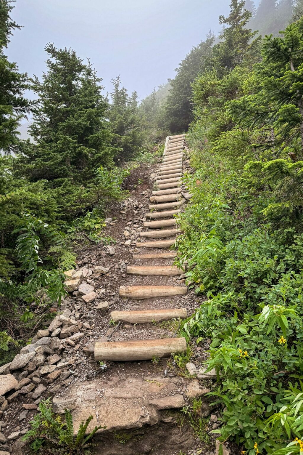 Hiking The Chain Lakes Loop At Mt. Baker: A Complete Guide