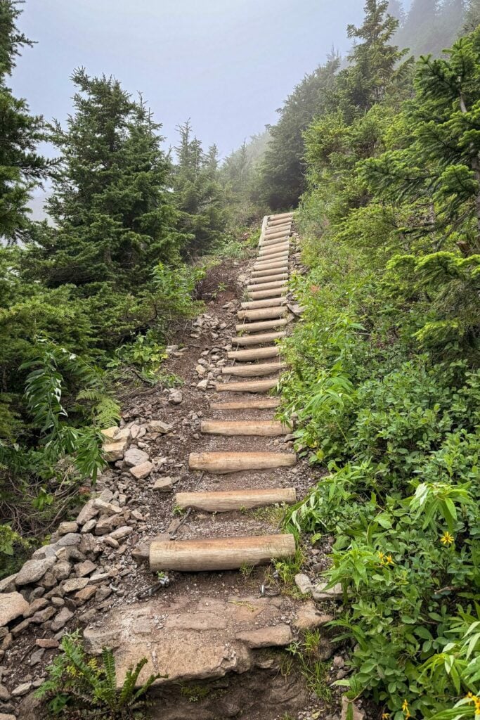 Hiking The Chain Lakes Loop At Mt. Baker: A Complete Guide