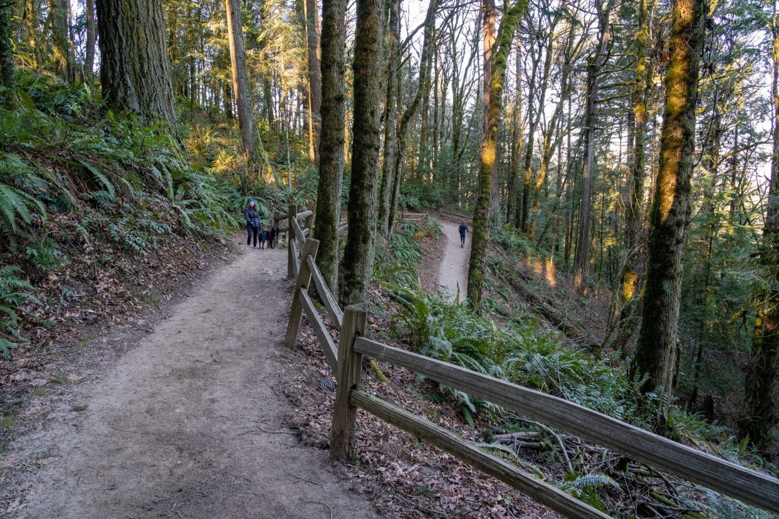 Hiking To Pittock Mansion: A Complete Trail Guide