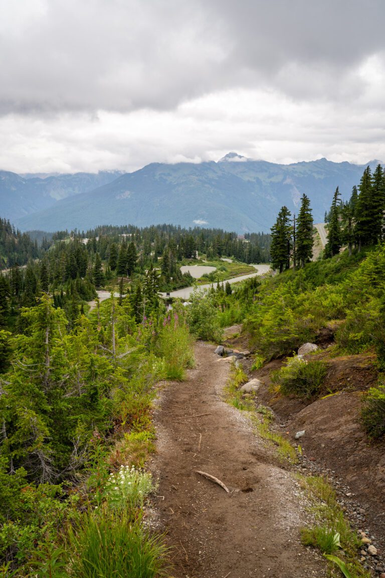 Hiking The Chain Lakes Loop At Mt. Baker: A Complete Guide