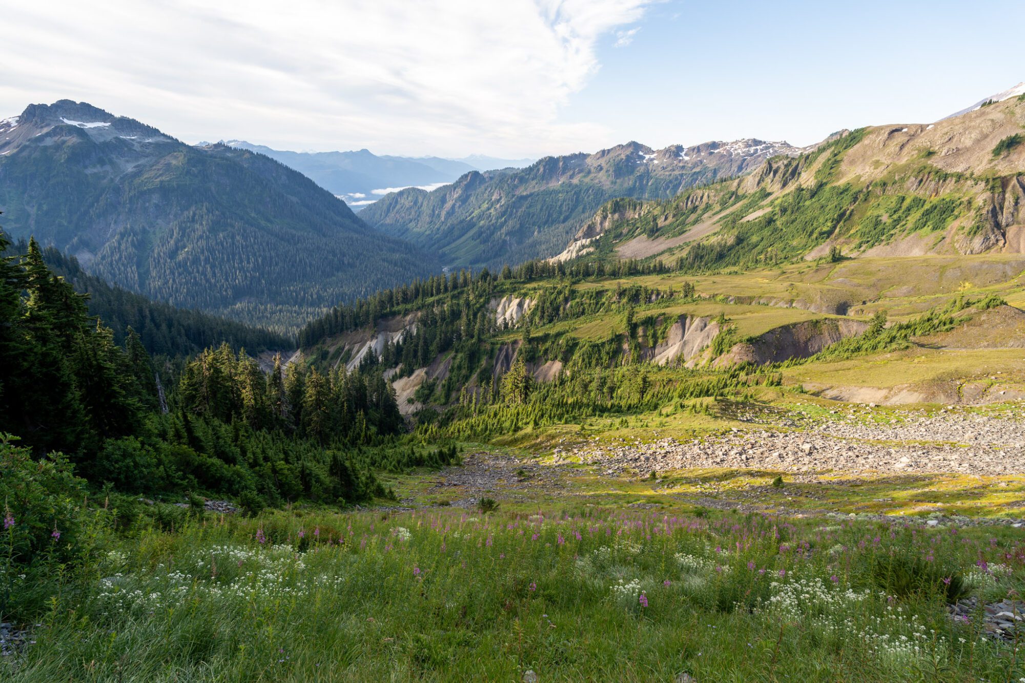 The Ptarmigan Ridge Trail At Mt. Baker: A Complete Guide