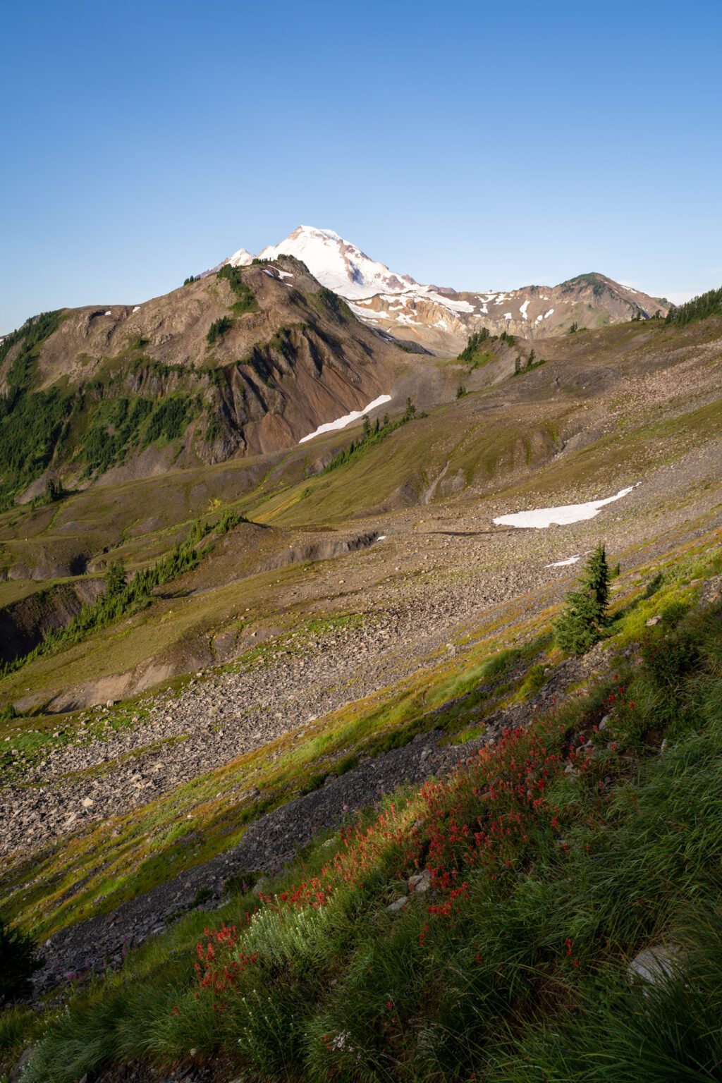 The Ptarmigan Ridge Trail At Mt. Baker: A Complete Guide