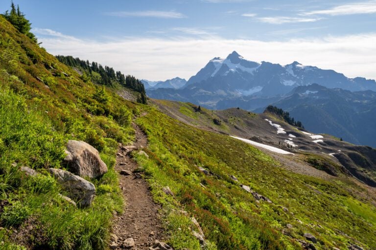 The Ptarmigan Ridge Trail At Mt. Baker: A Complete Guide