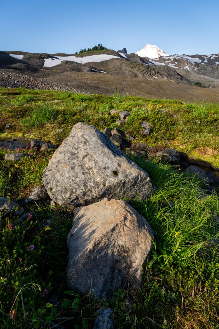 The Ptarmigan Ridge Trail At Mt. Baker: A Complete Guide