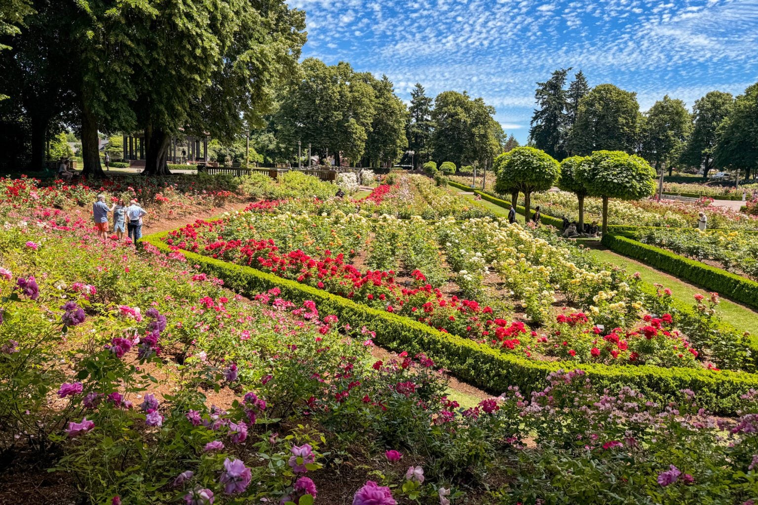 Exactly What To Do In Portland, OR (for First Timers)
