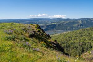 Our 20 Favorite Hikes In Washington State