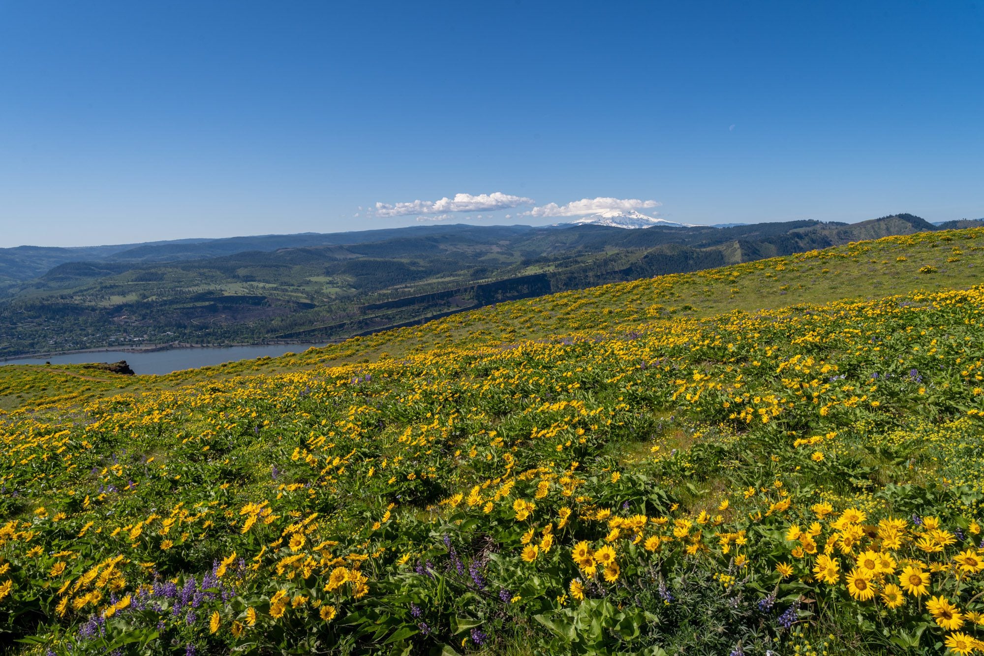 The Coyote Wall Trail: A Complete Hiking Guide