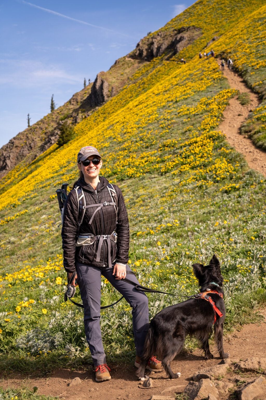 Hiking The Dog Mountain Trail: A Complete Guide