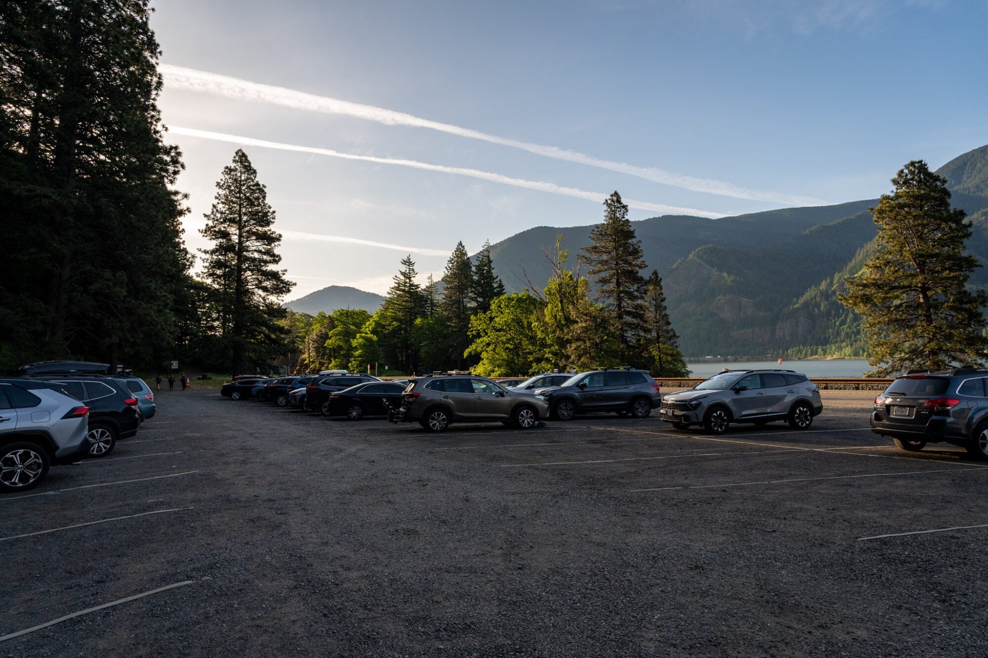 Hiking The Dog Mountain Trail: A Complete Guide