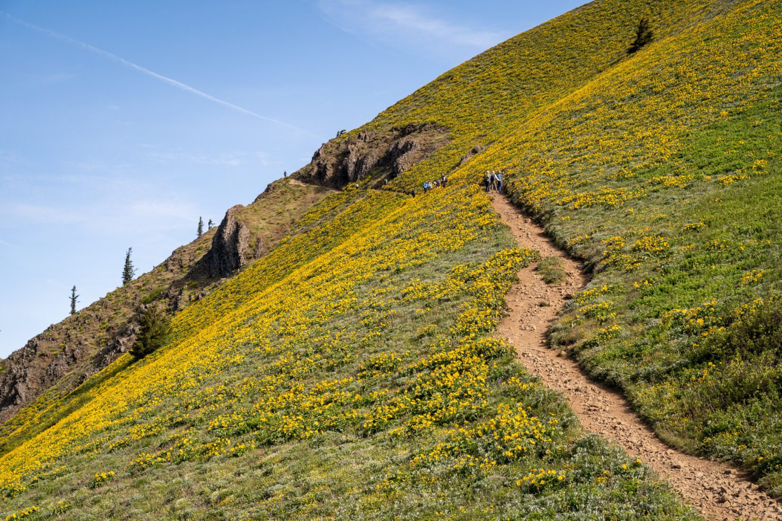 Hiking The Dog Mountain Trail: A Complete Guide