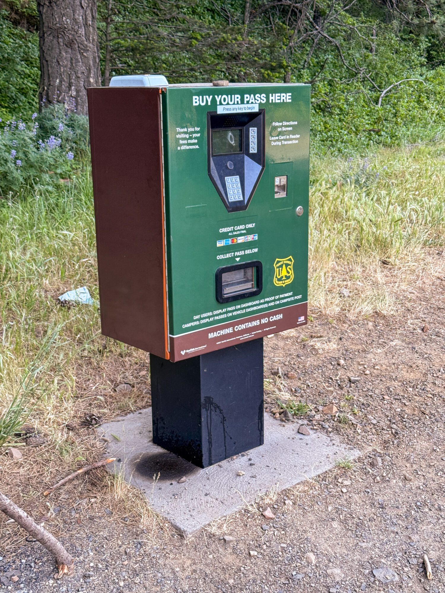 Hiking The Dog Mountain Trail: A Complete Guide