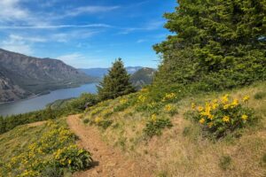 Hiking The Dog Mountain Trail: A Complete Guide