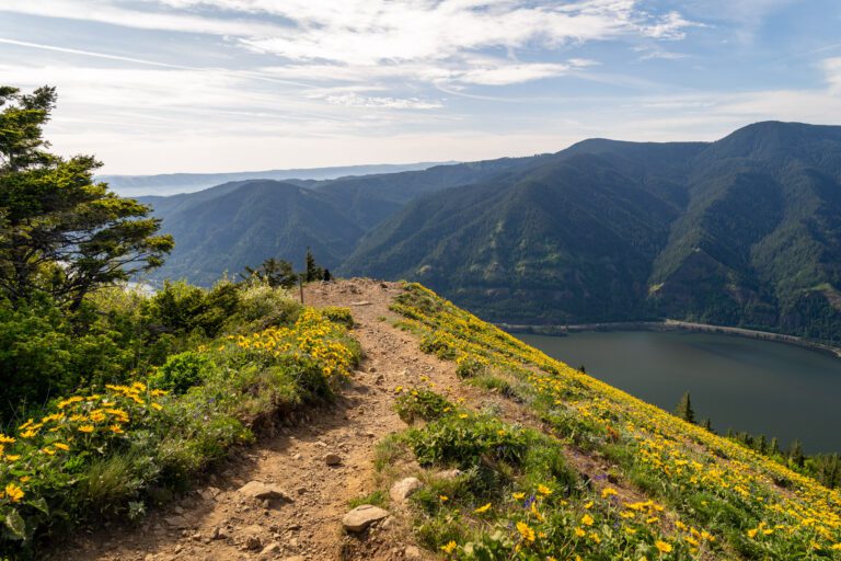 Hiking The Dog Mountain Trail: A Complete Guide