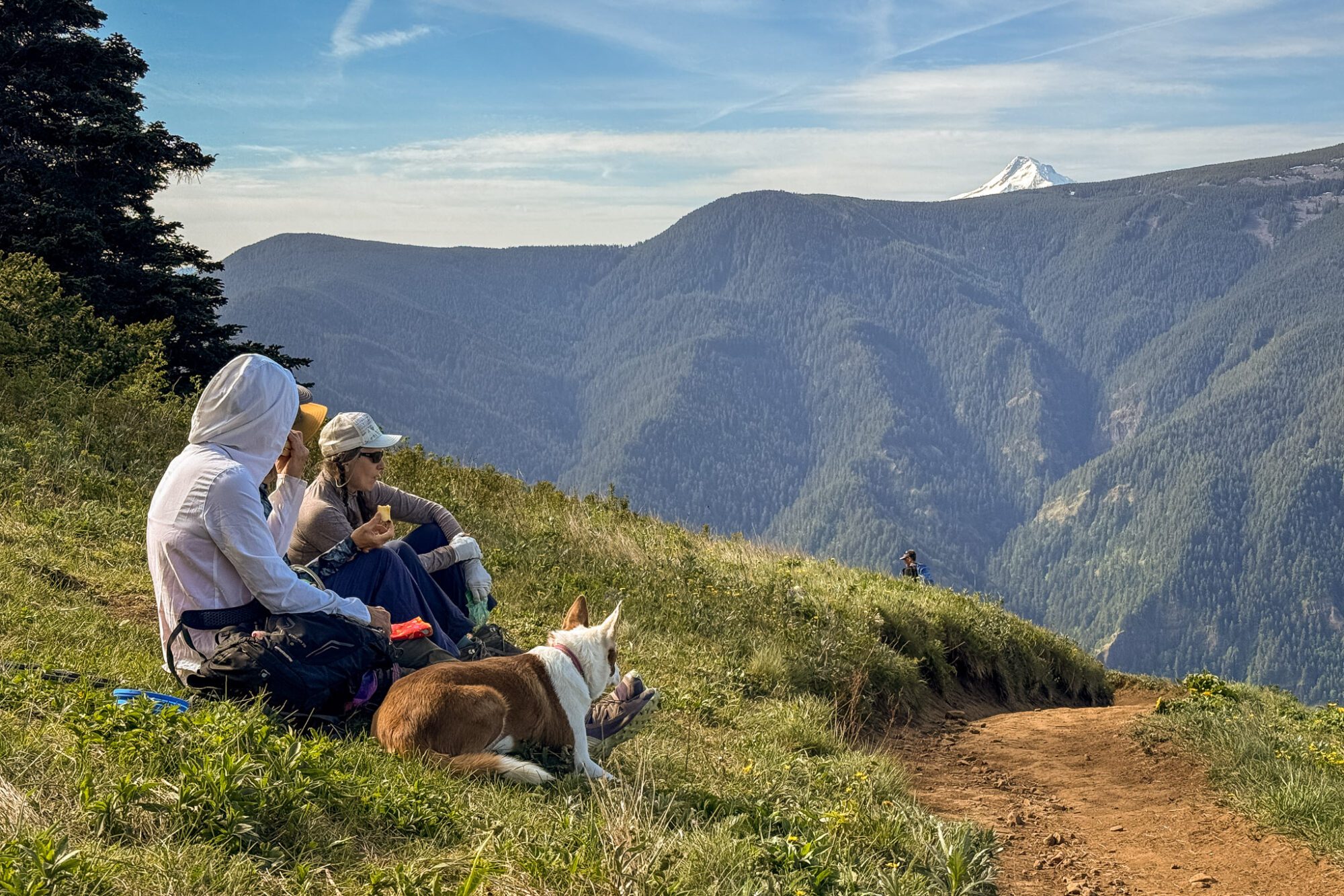 Hiking The Dog Mountain Trail: A Complete Guide