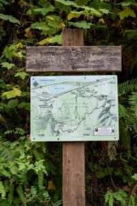 The Multnomah – Wahkeena Falls Loop: A Complete Guide