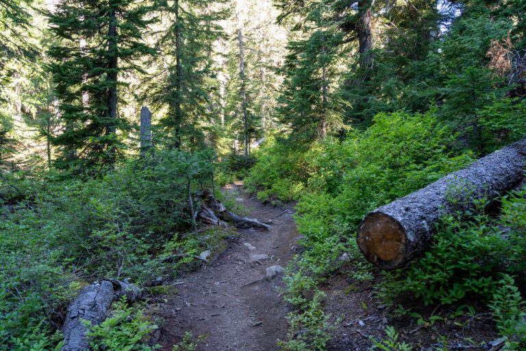 The Rachel Lake Trail (+ Rampart Lakes): A Complete Guide