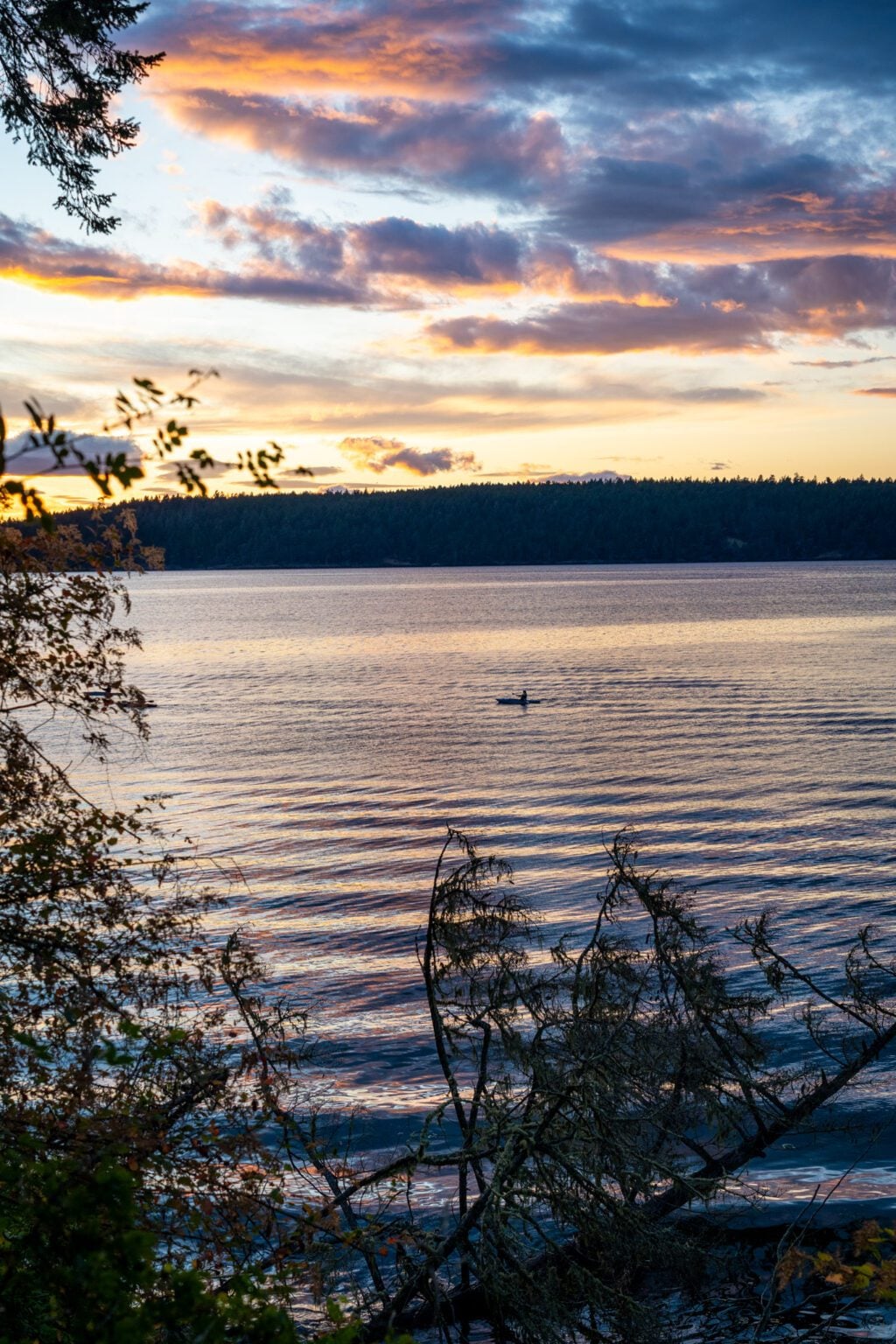What To Do On Lopez Island: A Complete Guide For First Timers
