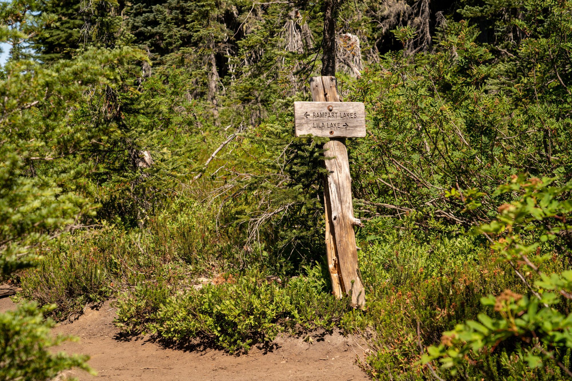 The Rachel Lake Trail (+ Rampart Lakes): A Complete Guide