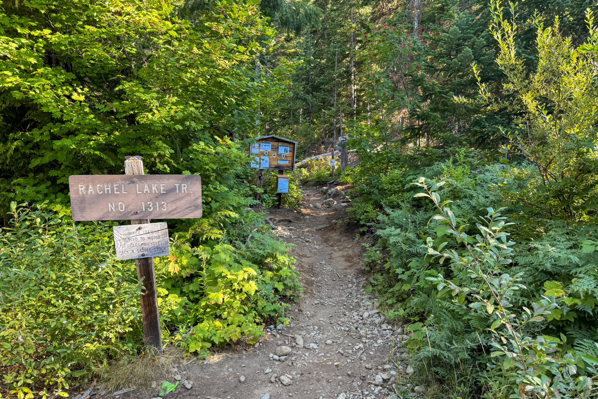 The Rachel Lake Trail (+ Rampart Lakes): A Complete Guide
