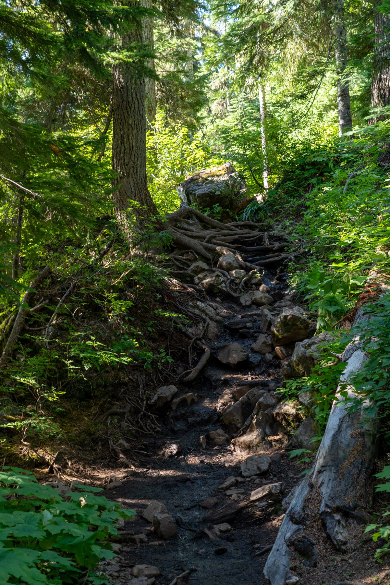 The Rachel Lake Trail (+ Rampart Lakes): A Complete Guide