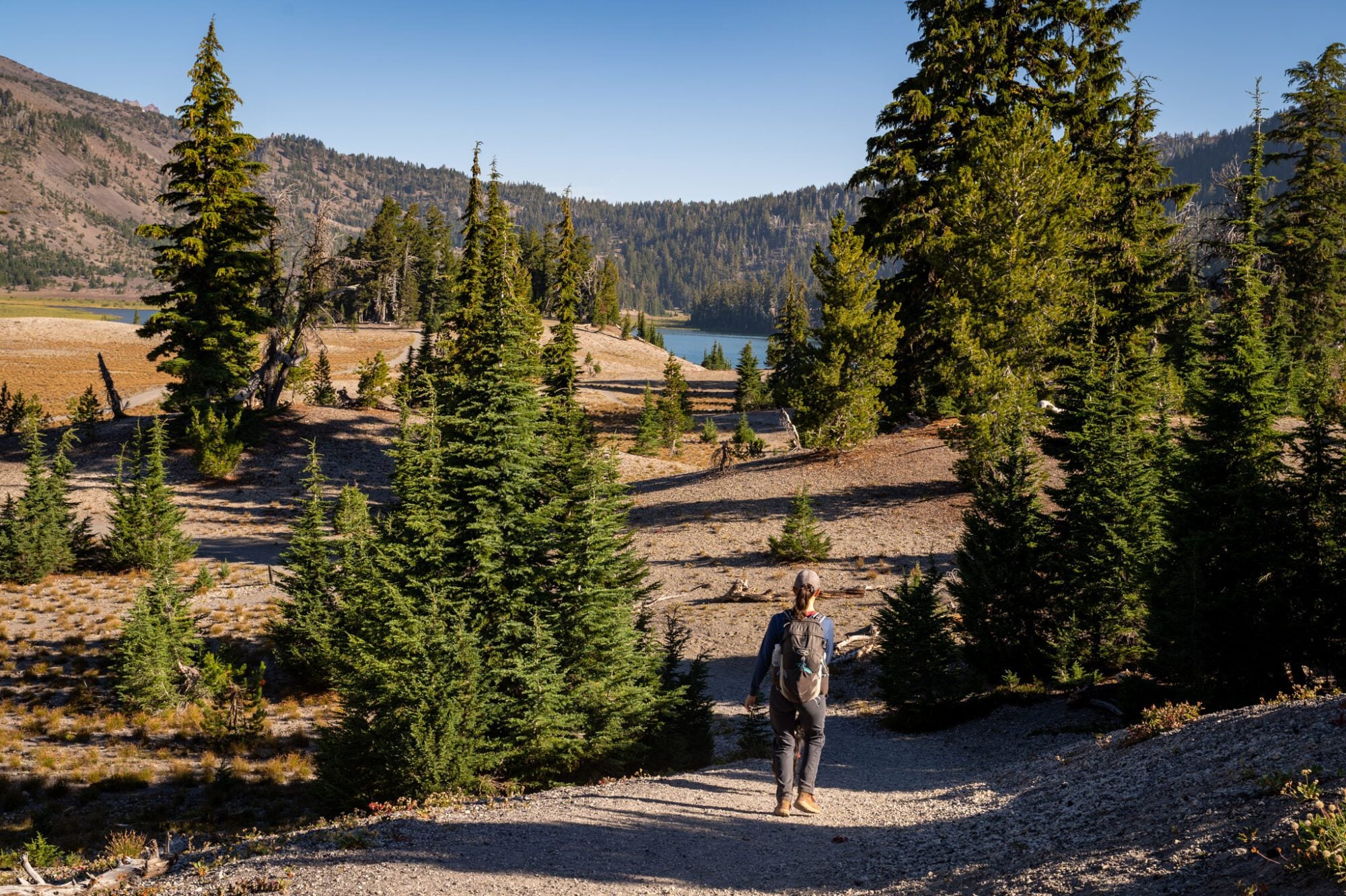 Hiking In Oregon: A Complete Guide For First Timers